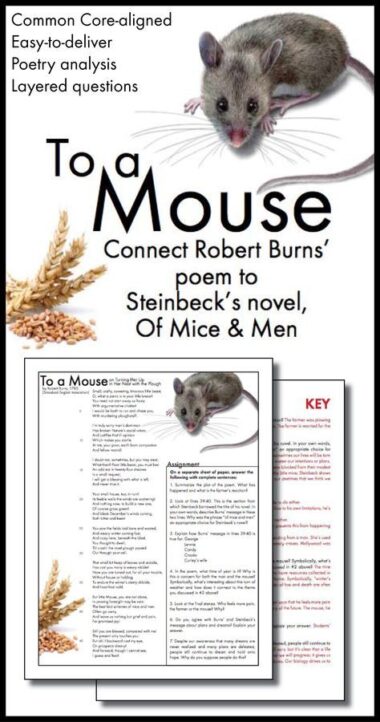 “To a Mouse”: Critical Detailed Analysis And Summary